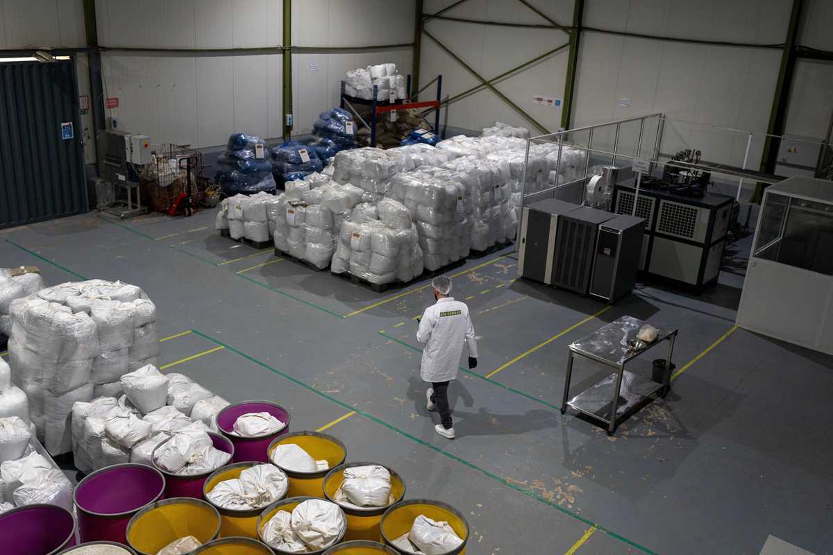 Morocco aims to boost legal cannabis farming and tap a global boom