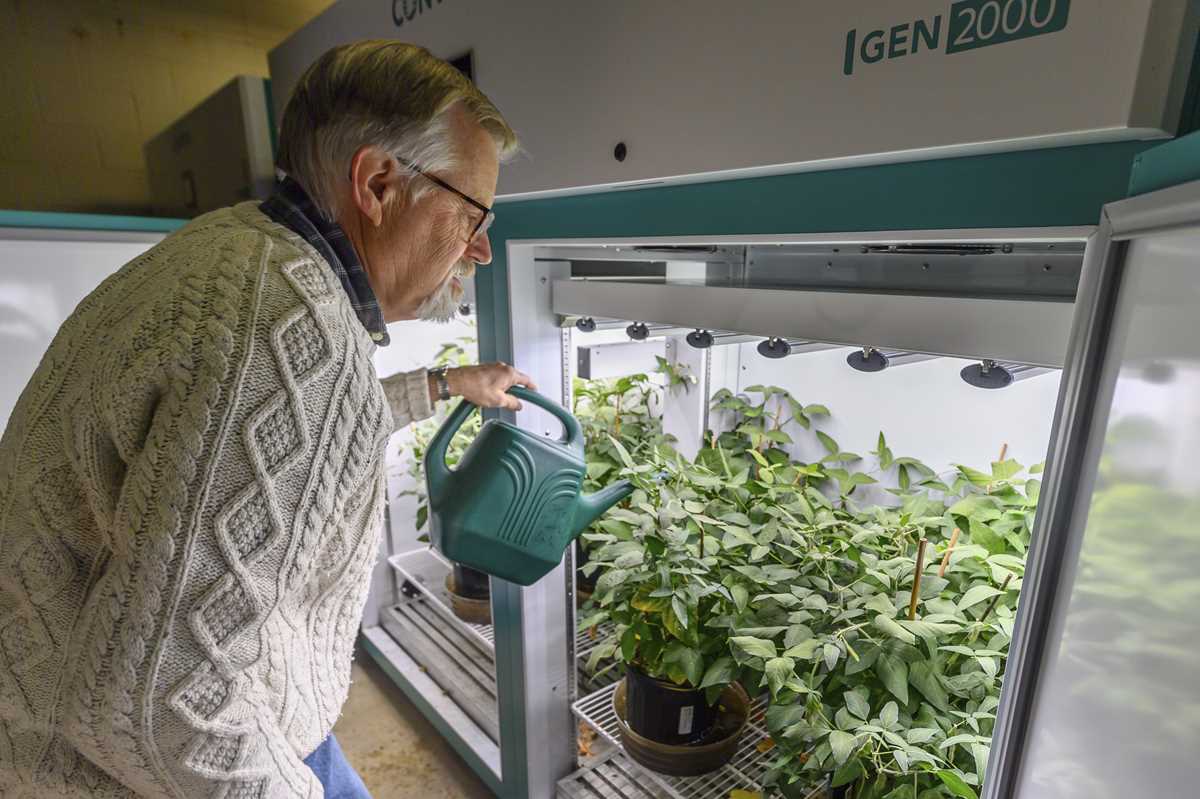 The USAID shutdown is upending livelihoods for nonprofit workers ...